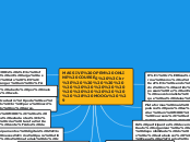 Mapa conceitual - Principais conceitos - Mind Map